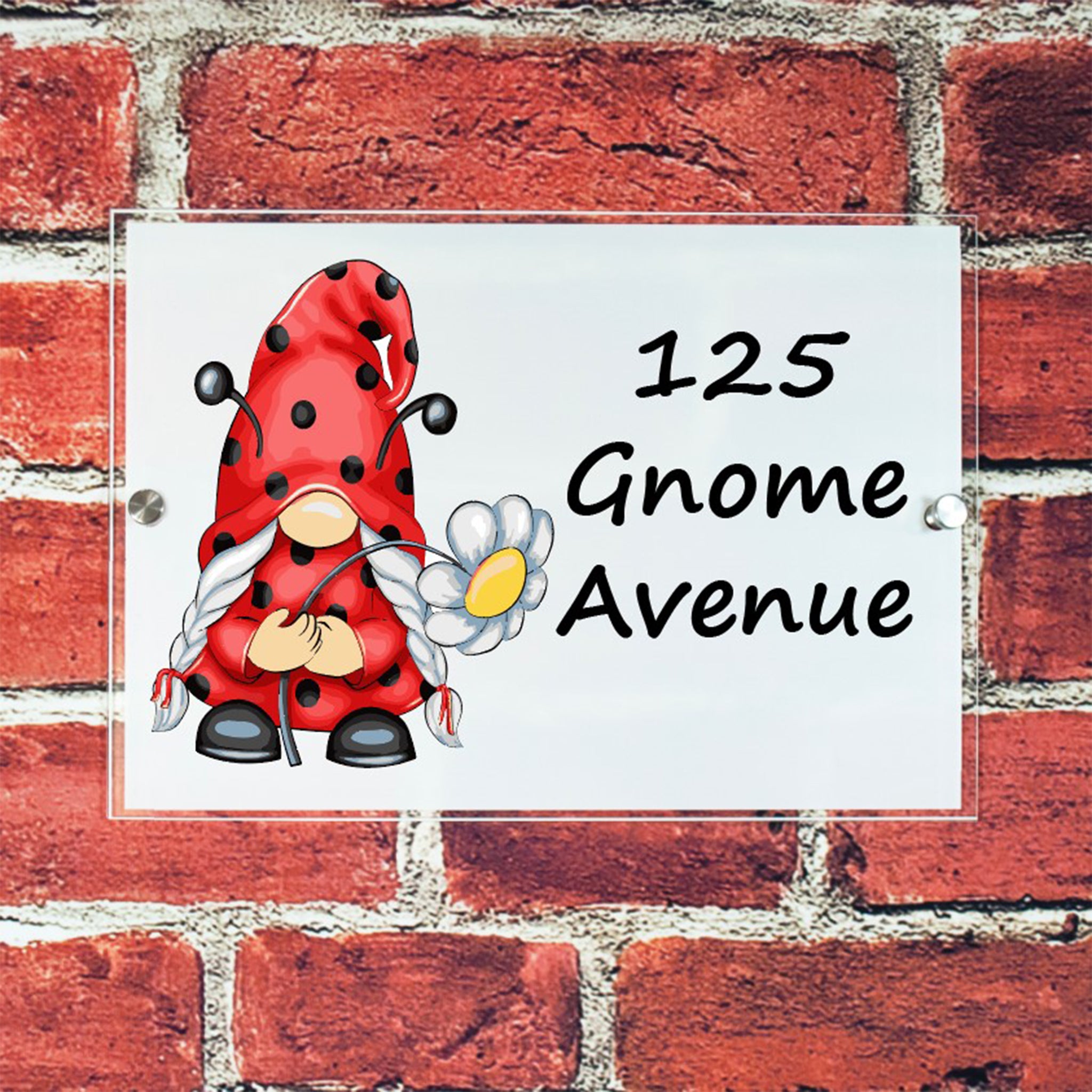 Acrylic house signs – Funky Dummy